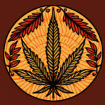 Indigenous Cannabis Uses: A Historical and Modern Perspective