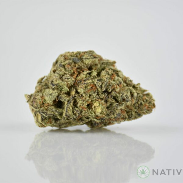 Hybrid Archives - Native Flower